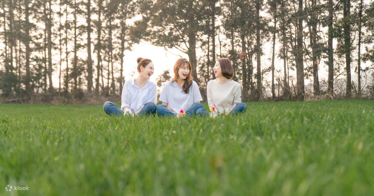 제주 우정 연인 웨딩 스냅 사진 촬영 체험 클룩 Klook 한국